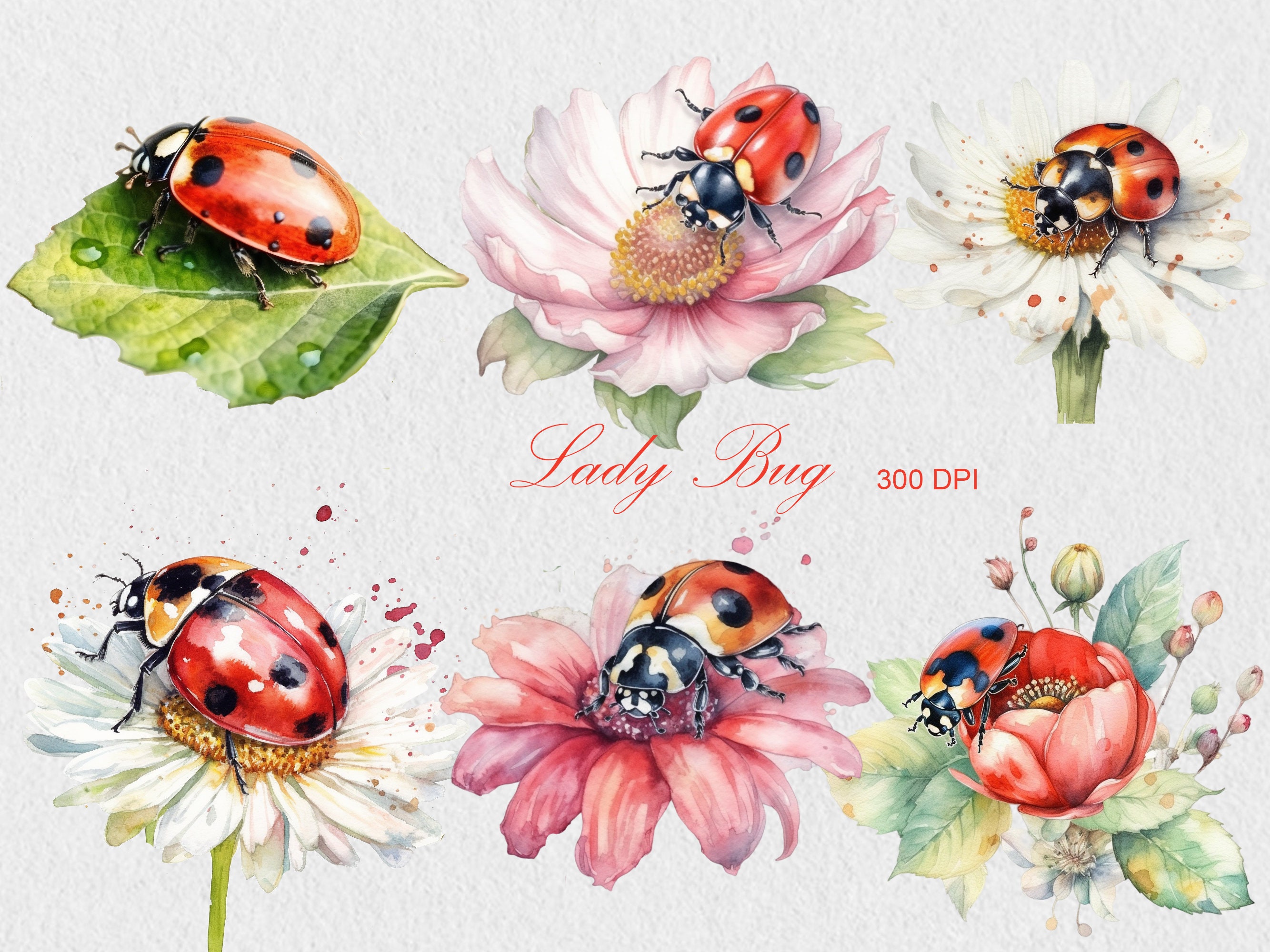 Watercolor Ladybug Clipart, Commercial Use Lady Bug PNG, Insect Clipart ...