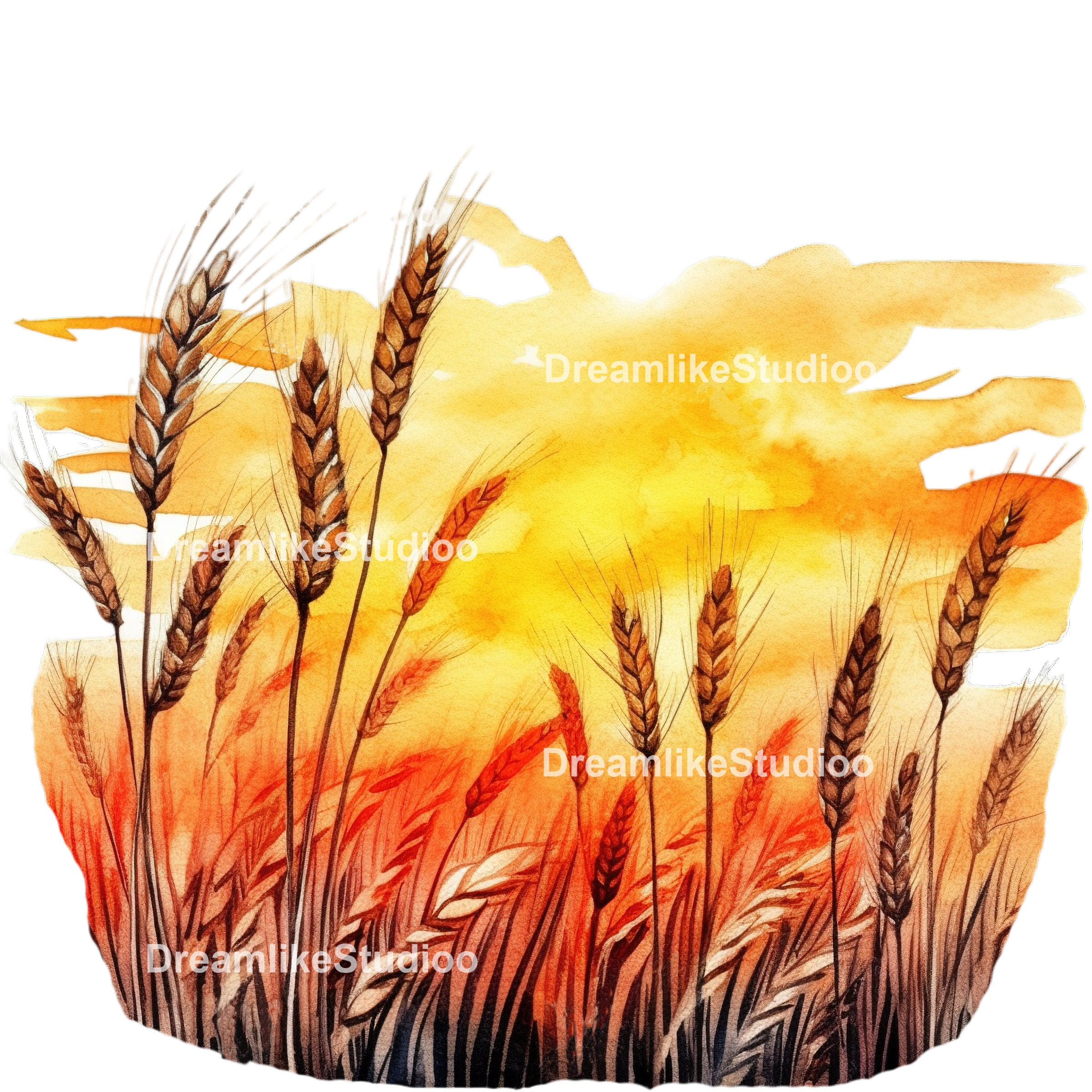 Watercolor Wheat Field Clipart Commercial Use Sunset Clipart - Etsy