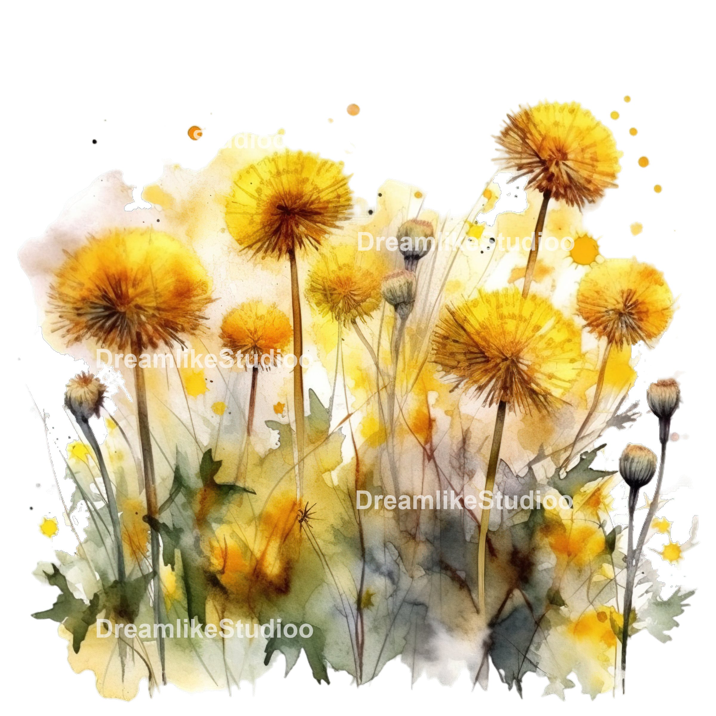 Watercolor Dandelions Clipart, Dandelions Scene PNG, Commercial Use ...