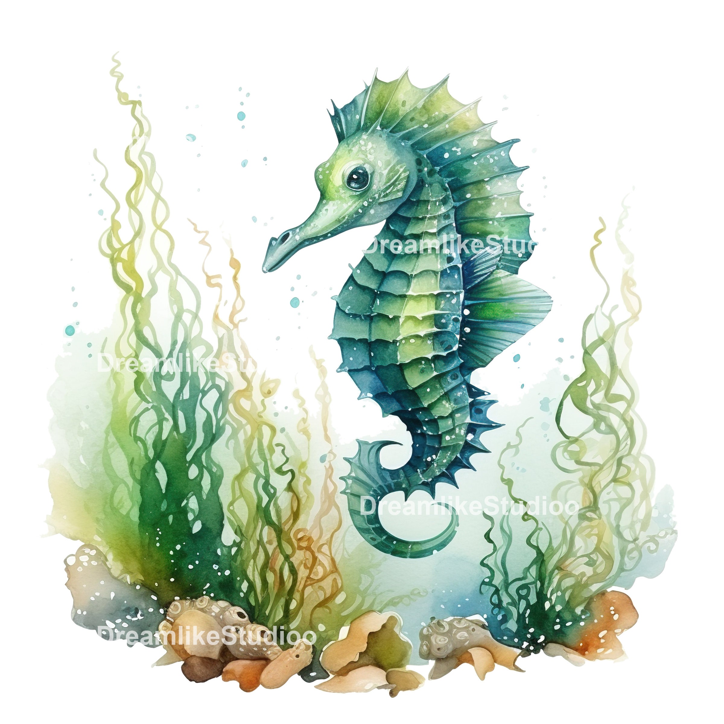 Seahorse Clipart, Watercolor Commercial Use Seahorse PNG, Ocean Animal ...