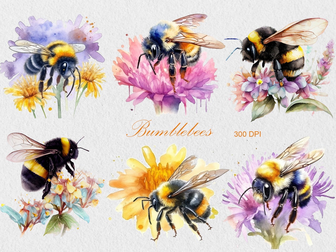 Watercolor Bumblebee Clipart Set, Commercial Use Bumble Bee PNG, Flower ...