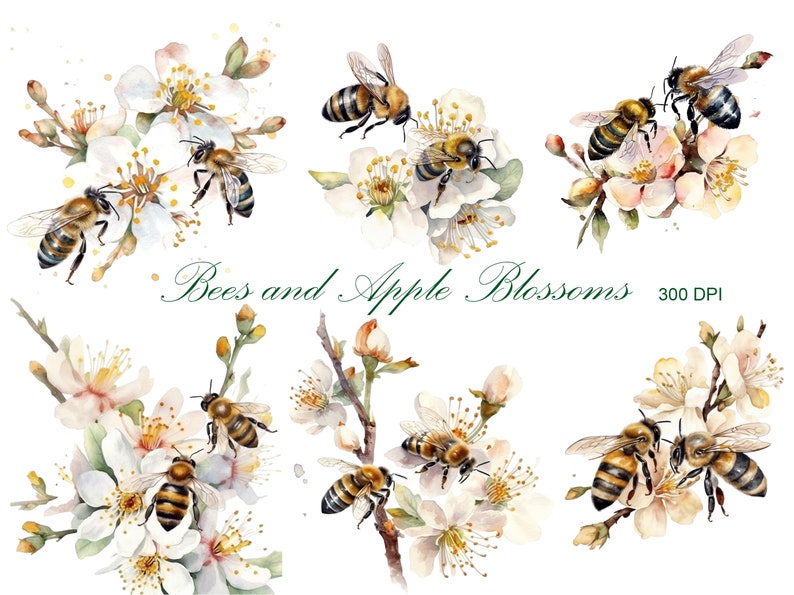 Honey Bee Clipart PNG Watercolor Commercial Use Clipart Bees - Etsy