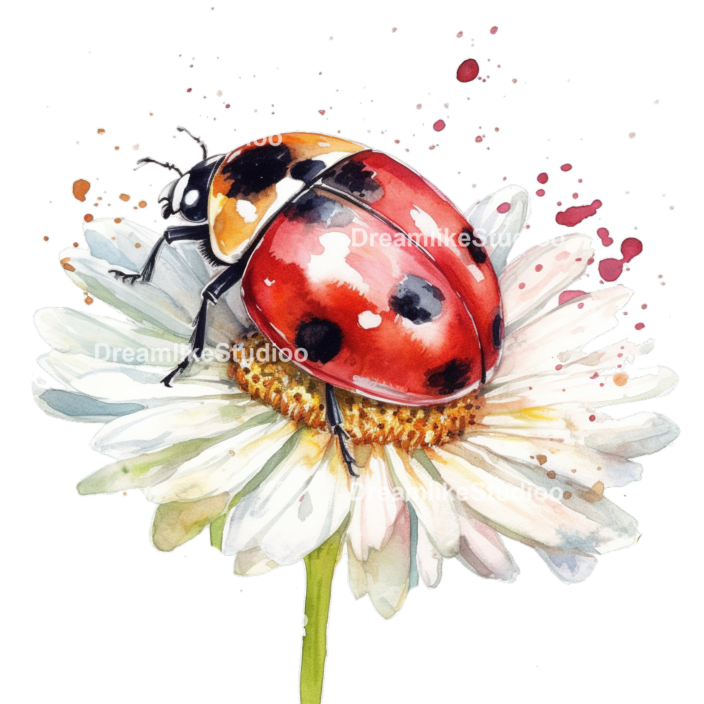 Watercolor Ladybug Clipart, Commercial Use Lady Bug PNG, Insect Clipart ...