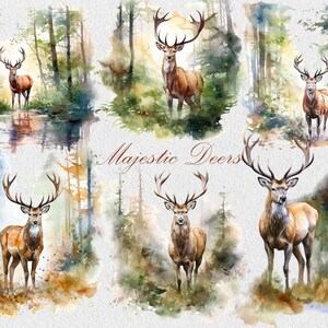 Watercolor Deer Clipart, Commercial Use Deer PNG, Wildlife, Wild Animal ...