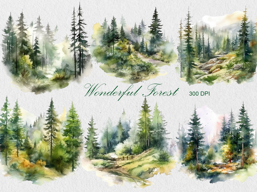 Watercolor Forest Clipart, Commercial Use Foggy Forest PNG, Coniferous ...