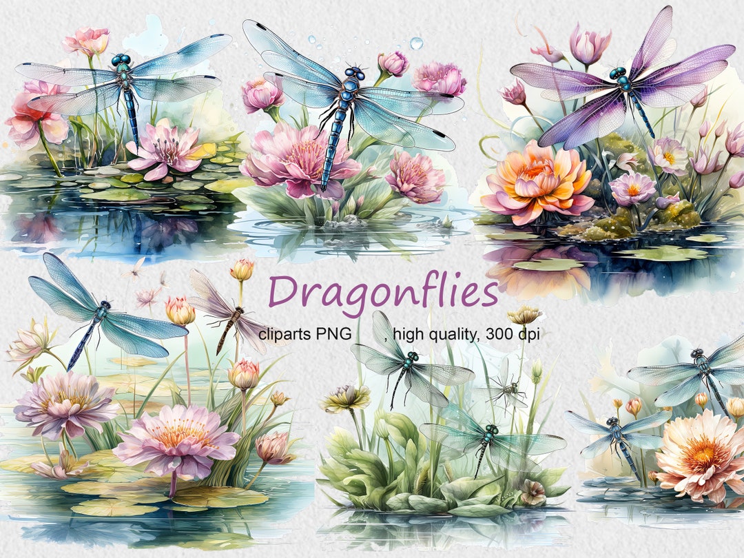 Watercolor Dragonfly Clipart, Commercial Use Clipart, Dragonfly Pond ...