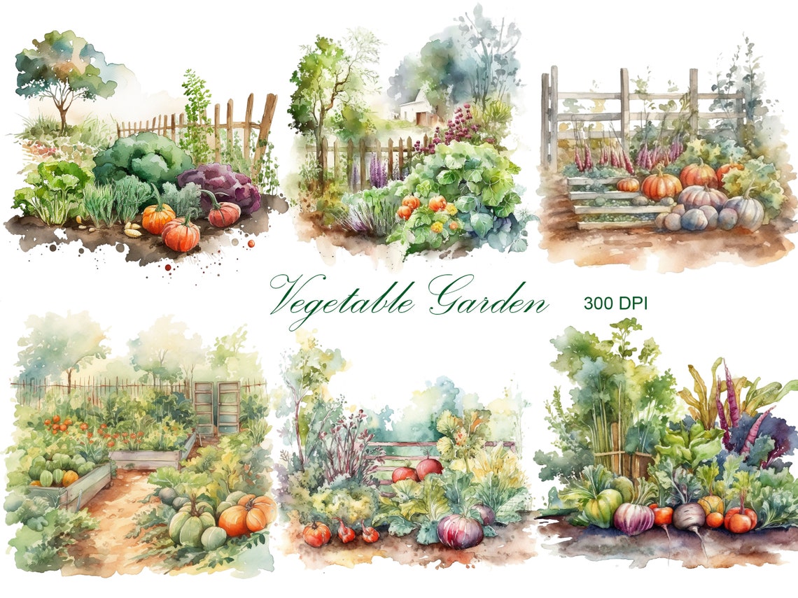 Vegetable Garden Cliparts Watercolor Gardening Clipart - Etsy
