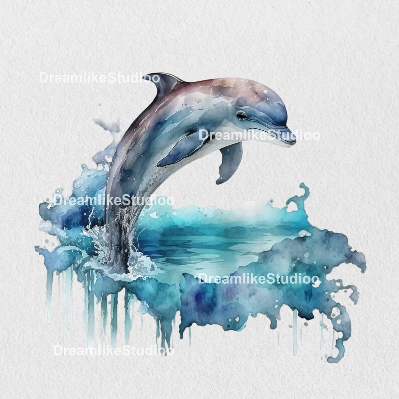 Dolphin Clipart PNG Dolphin Watercolor Digital Downloads - Etsy