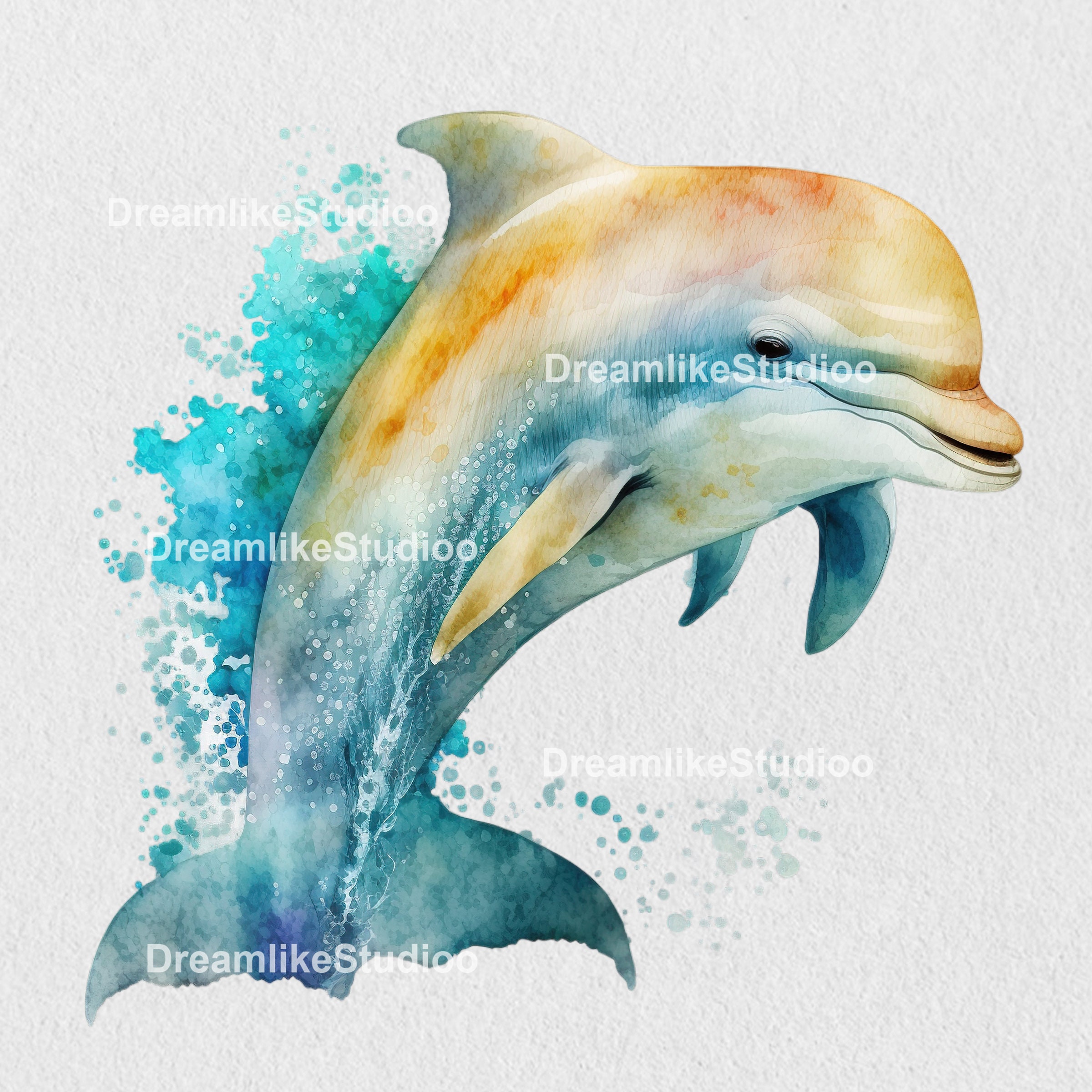 Dolphin Clipart PNG Dolphin Watercolor Digital Downloads - Etsy