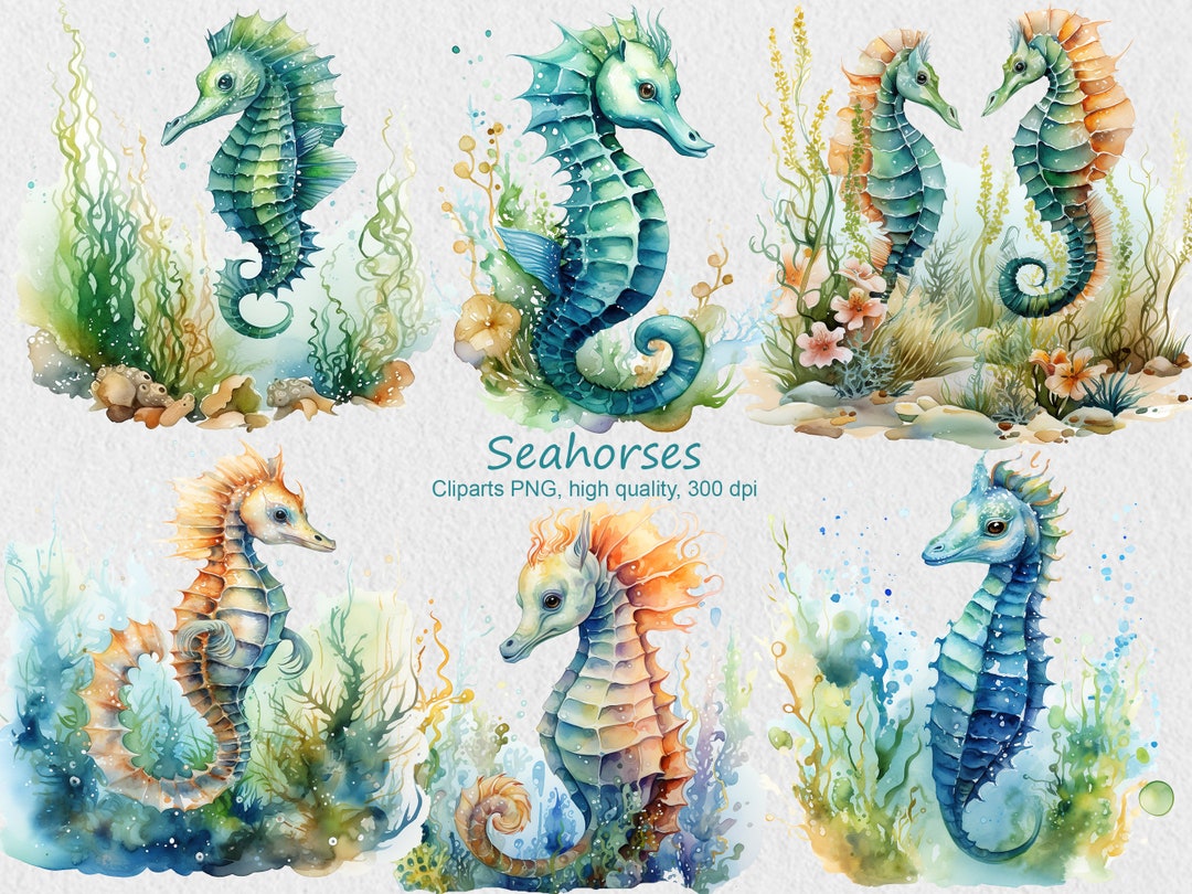 Seahorse Clipart, Watercolor Commercial Use Seahorse PNG, Ocean Animal ...