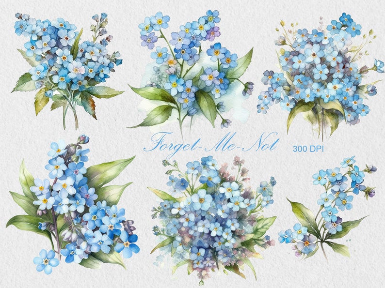Watercolor Forget-me-not Clipart, Forget-me-not Bouquet PNG, Commercial ...
