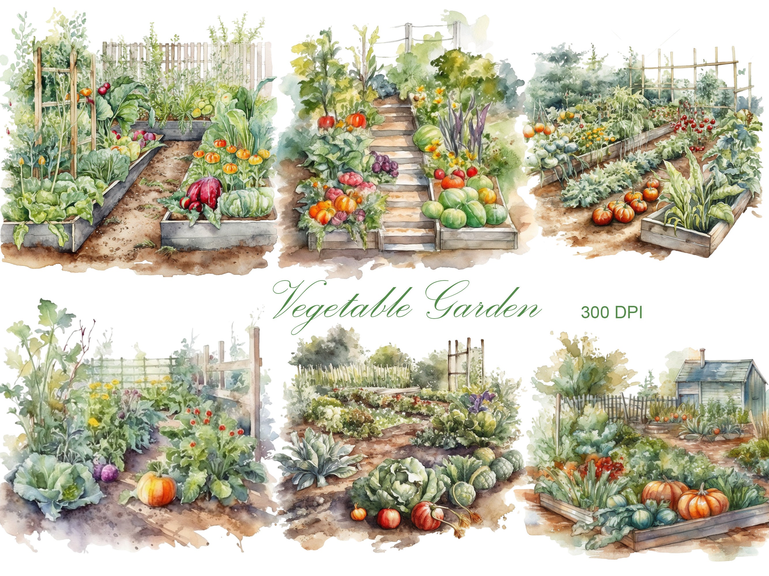 Watercolor Vegetable Garden Clipart, Gardening Clipart, Commercial Use ...