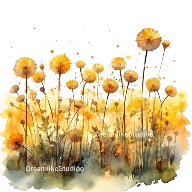 Watercolor Dandelions Clipart, Dandelions Scene PNG, Commercial Use Dandelion Art Clipart, - Etsy