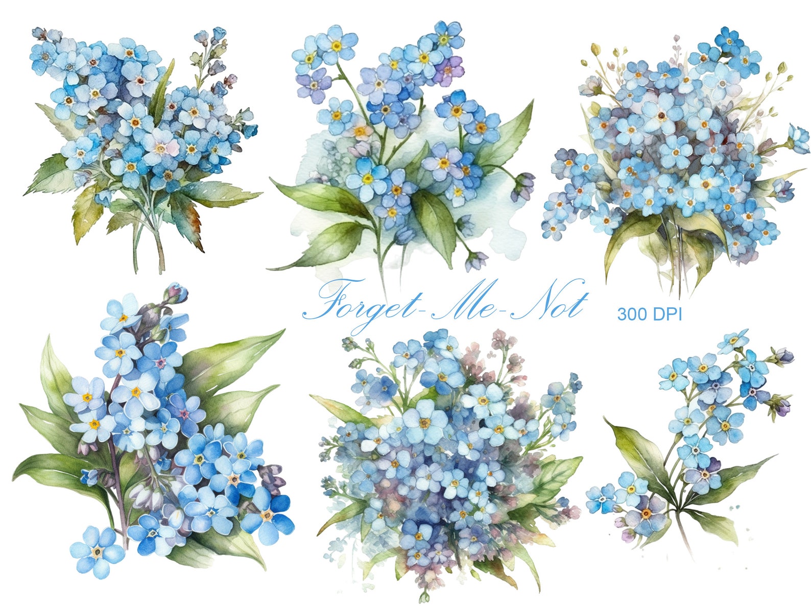 Watercolor Forget-me-not Clipart, Forget-me-not Bouquet PNG, Commercial ...
