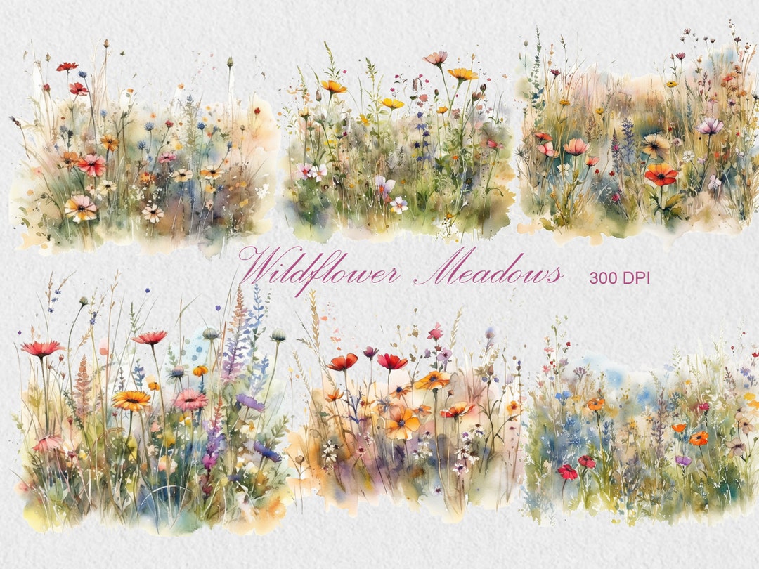 Watercolor Wildflower Meadows Clipart, Commercial Use Clipart, Summer ...