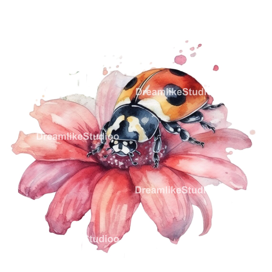 Watercolor Ladybug Clipart, Commercial Use Lady Bug PNG, Insect Clipart ...
