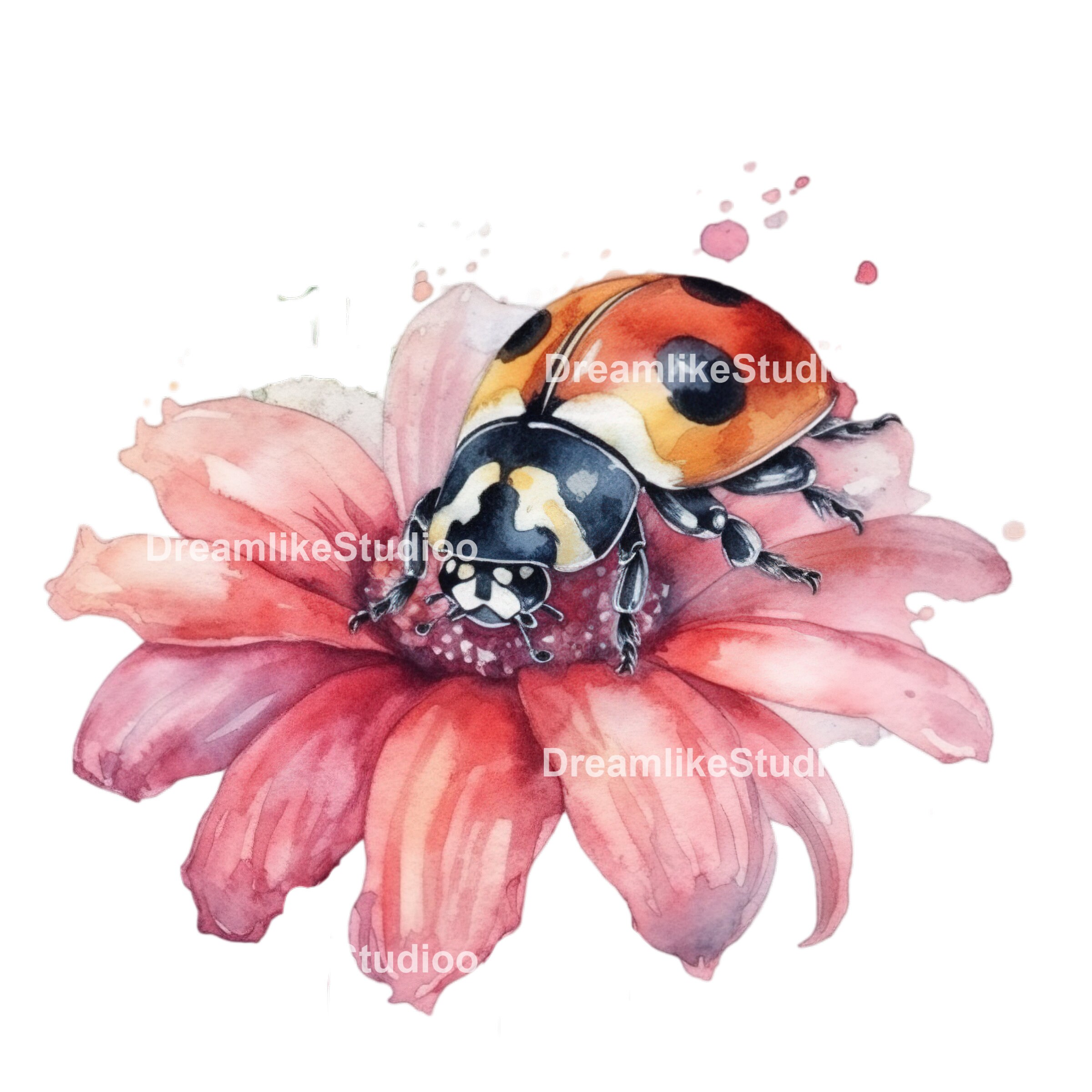 Watercolor Ladybug Clipart, Commercial Use Lady Bug PNG, Insect Clipart ...