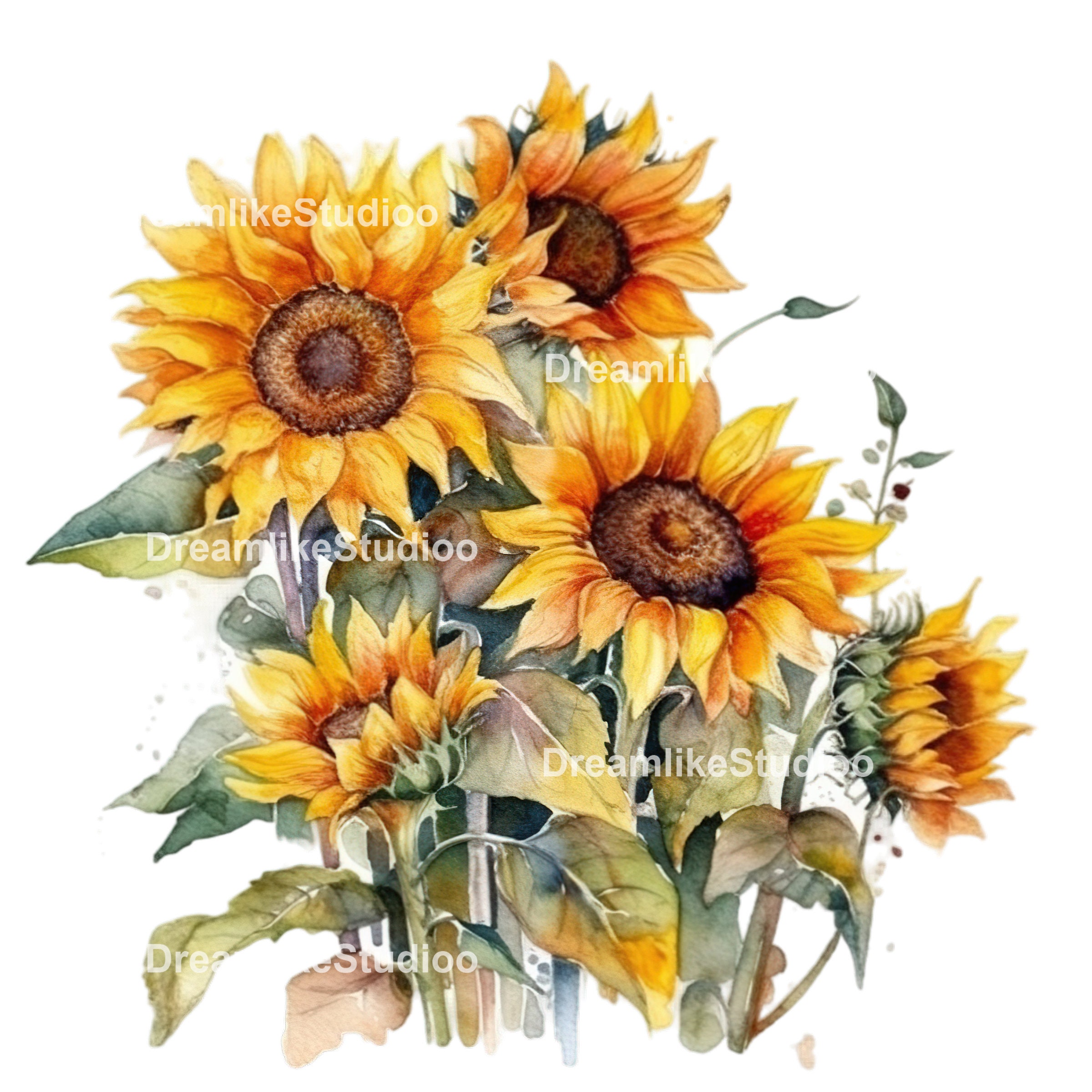 Watercolor Sunflower Clipart, Commercial Use Clipart, Sunflowers Field ...