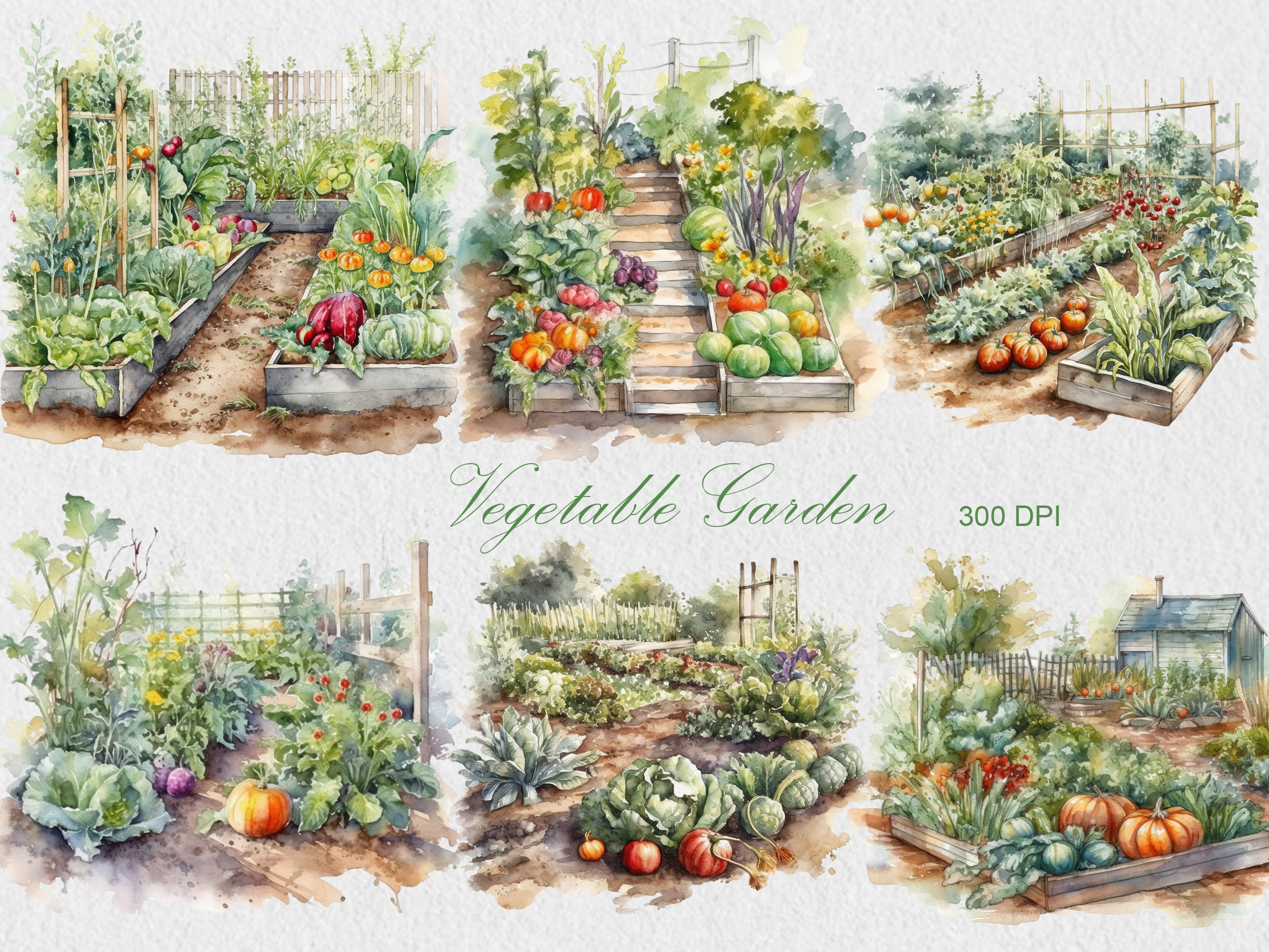 Watercolor Vegetable Garden Clipart, Gardening Clipart, Commercial Use ...