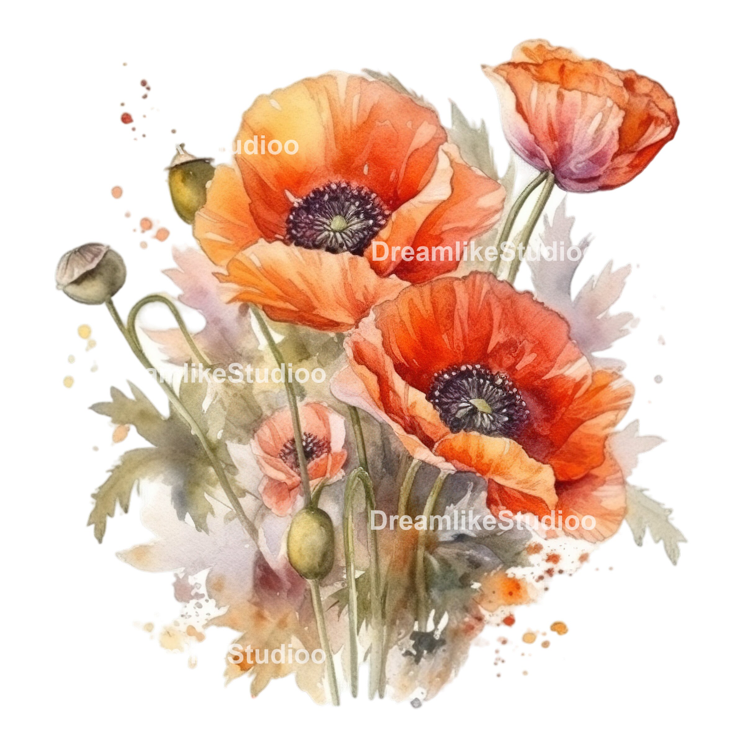 Watercolor Poppy Clipart, Commercial Use Poppy Bouquet Clipart PNG ...