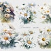 Watercolor Daisies Clipart Daisies Bouquet PNG Commercial - Etsy