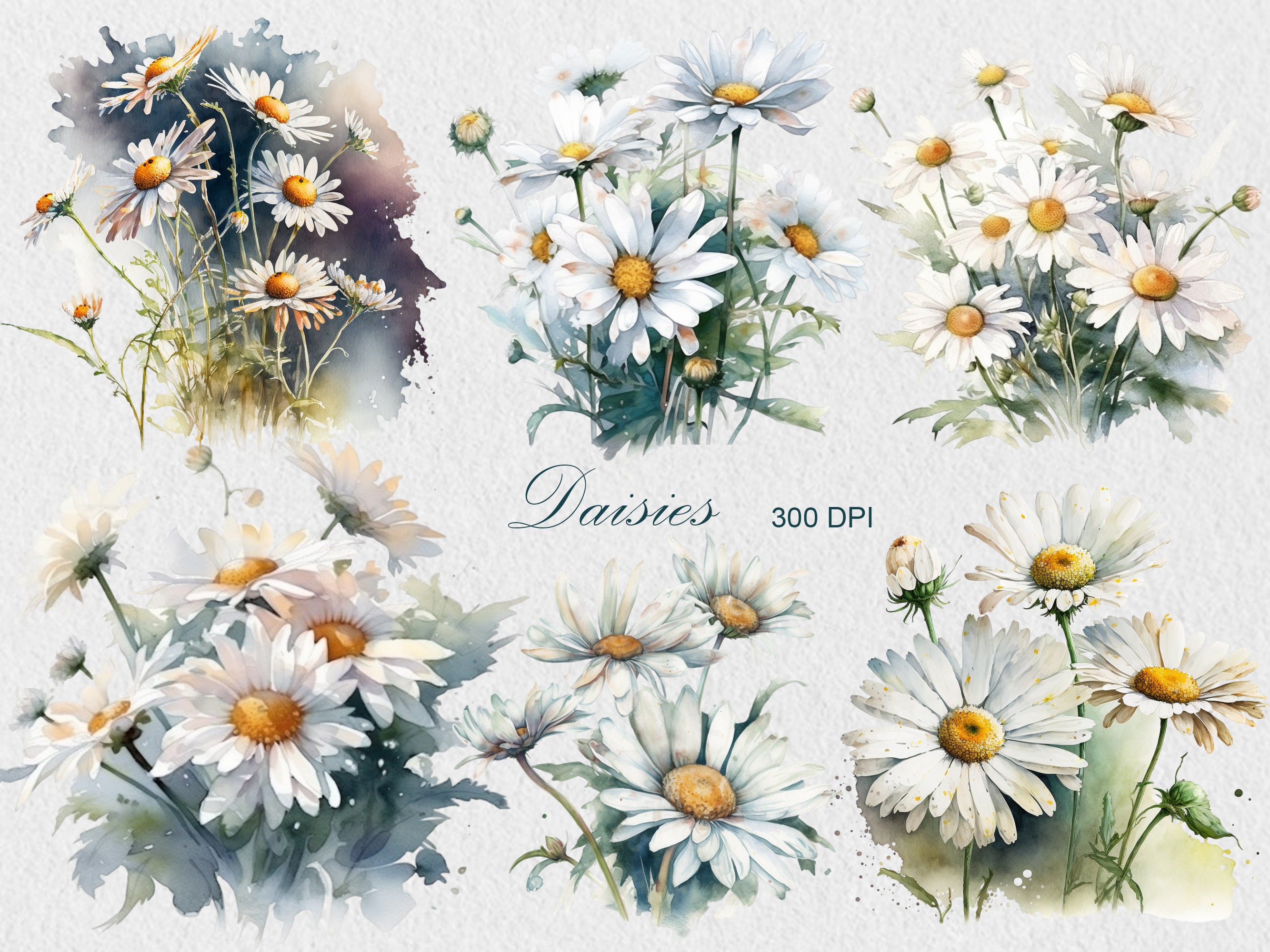 Watercolor Daisies Clipart Daisies Bouquet PNG Commercial - Etsy