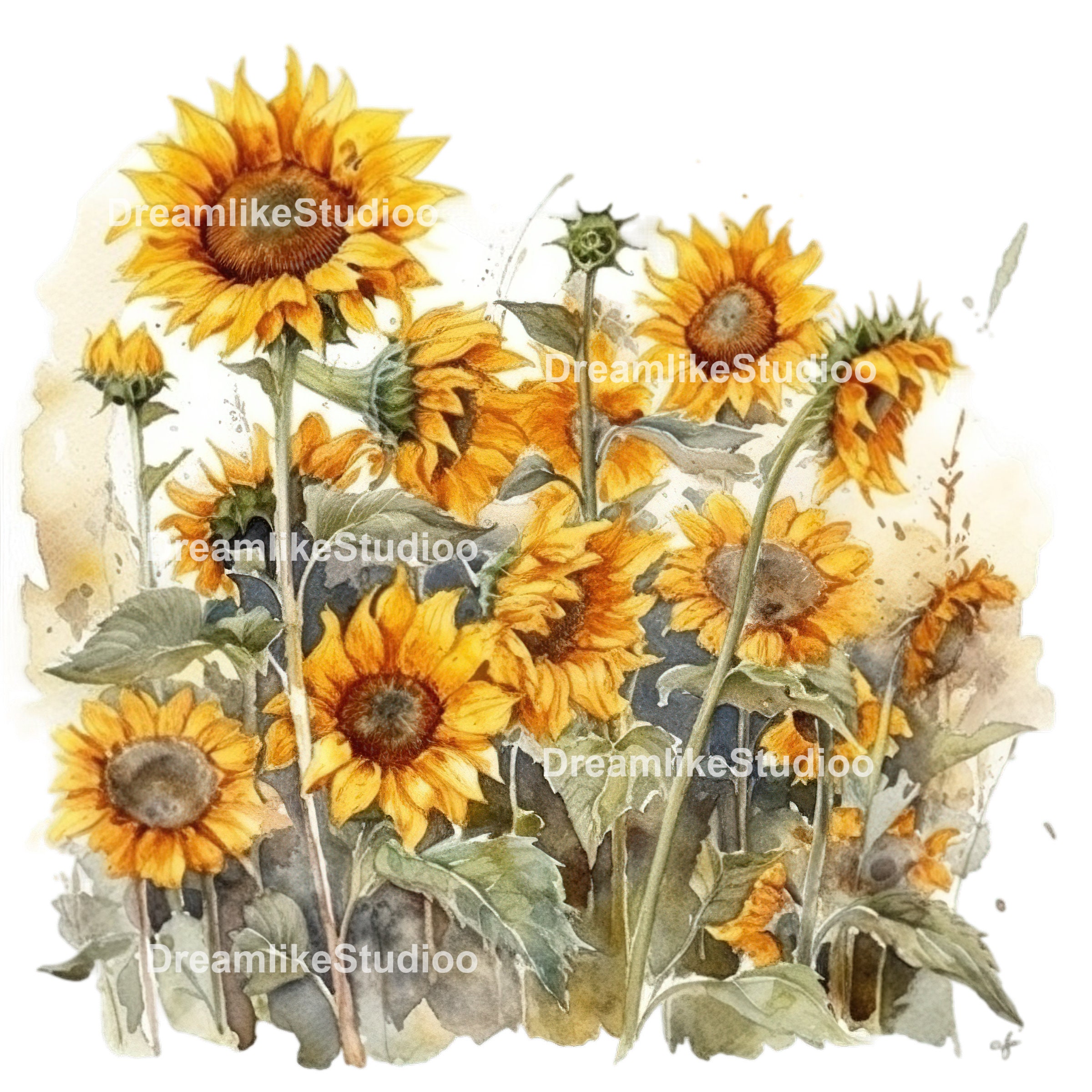 Watercolor Sunflower Clipart, Commercial Use Clipart, Sunflowers Field ...