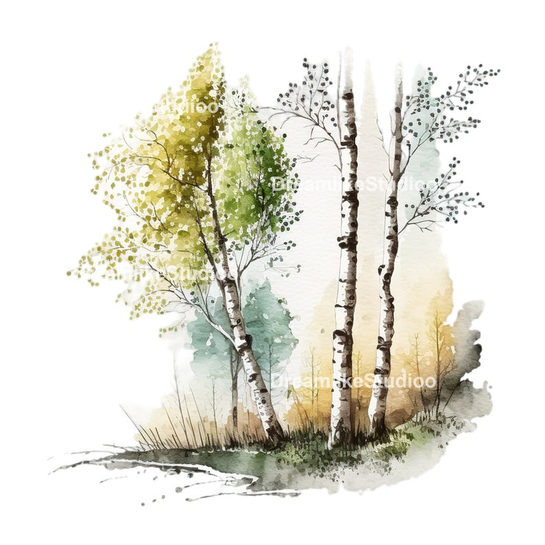 Spring Birch Trees Clipart Birch Grove PNG Commercial Use - Etsy