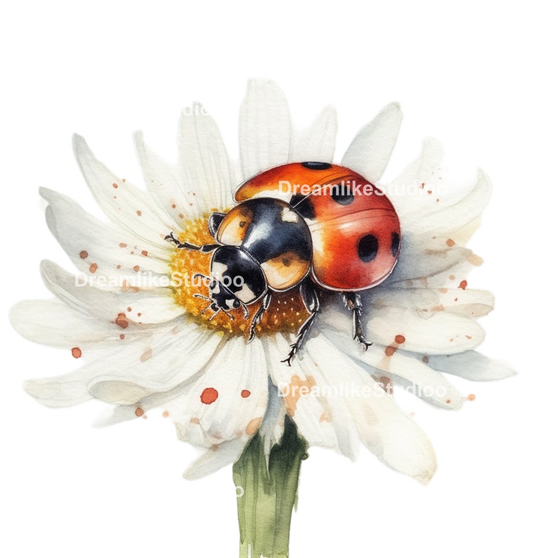 Watercolor Ladybug Clipart, Commercial Use Lady Bug PNG, Insect Clipart ...