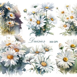 Watercolor Daisies Clipart, Daisies Bouquet PNG, Commercial Use Daisy ...