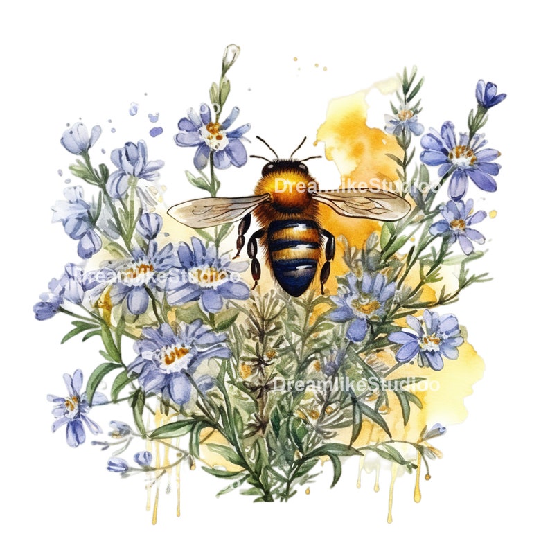 Honey Bee Clipart PNG, Watercolor Bees, Commercial Use Clipart, Bees ...