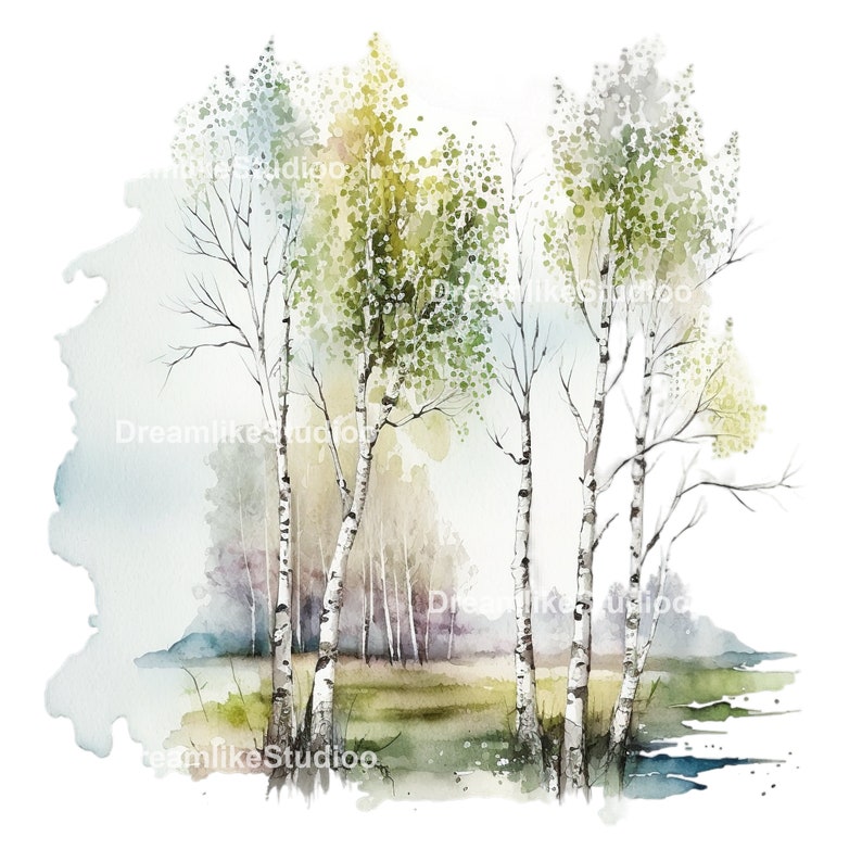 Spring Birch Trees Clipart Birch Grove PNG Commercial Use - Etsy