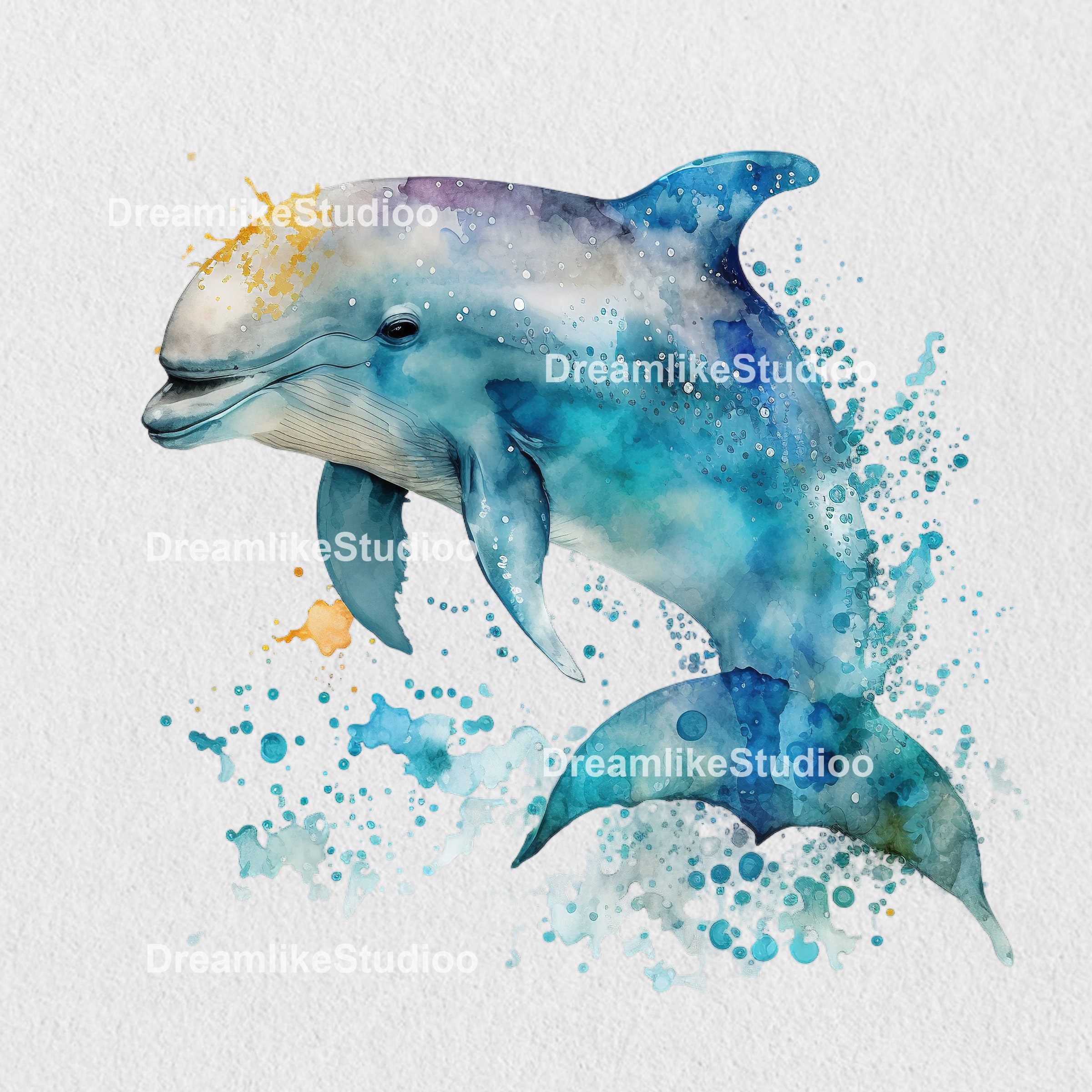 Dolphin Clipart PNG Dolphin Watercolor Digital Downloads - Etsy