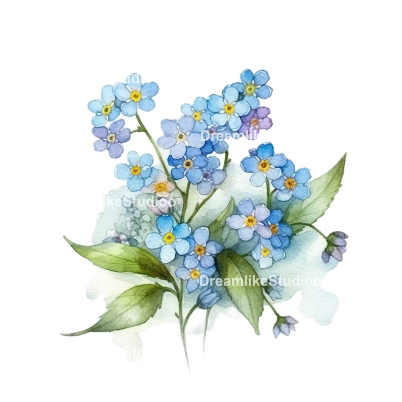 Watercolor Forget-me-not Clipart, Forget-me-not Bouquet PNG, Commercial ...
