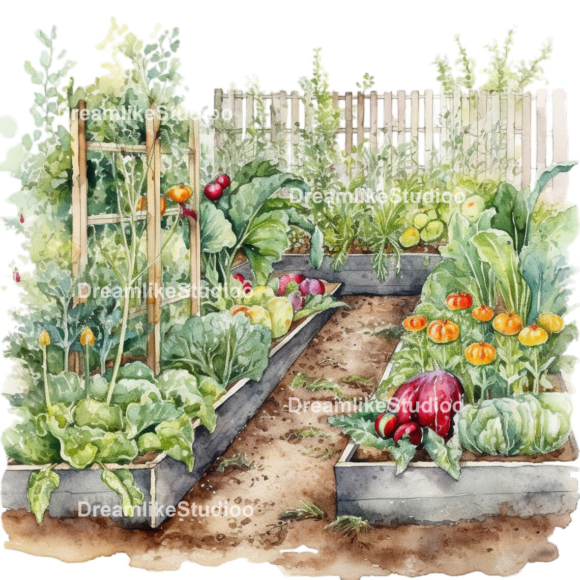Watercolor Vegetable Garden Clipart, Gardening Clipart, Commercial Use ...