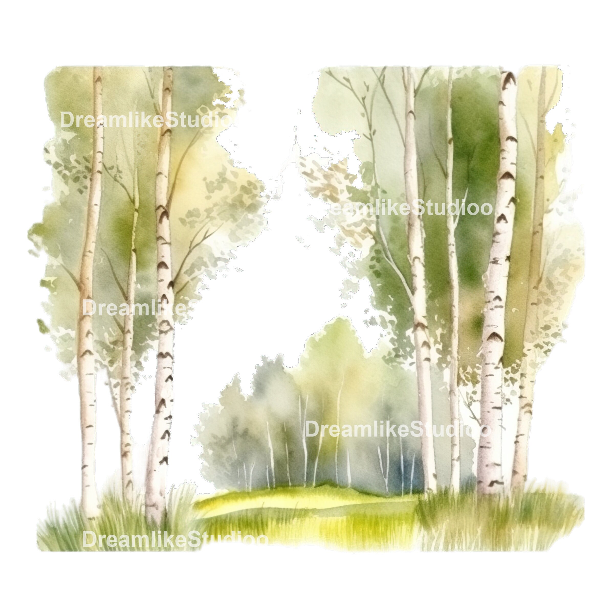 Summer Birch Tree Clipart Watercolor Birch Grove PNG - Etsy