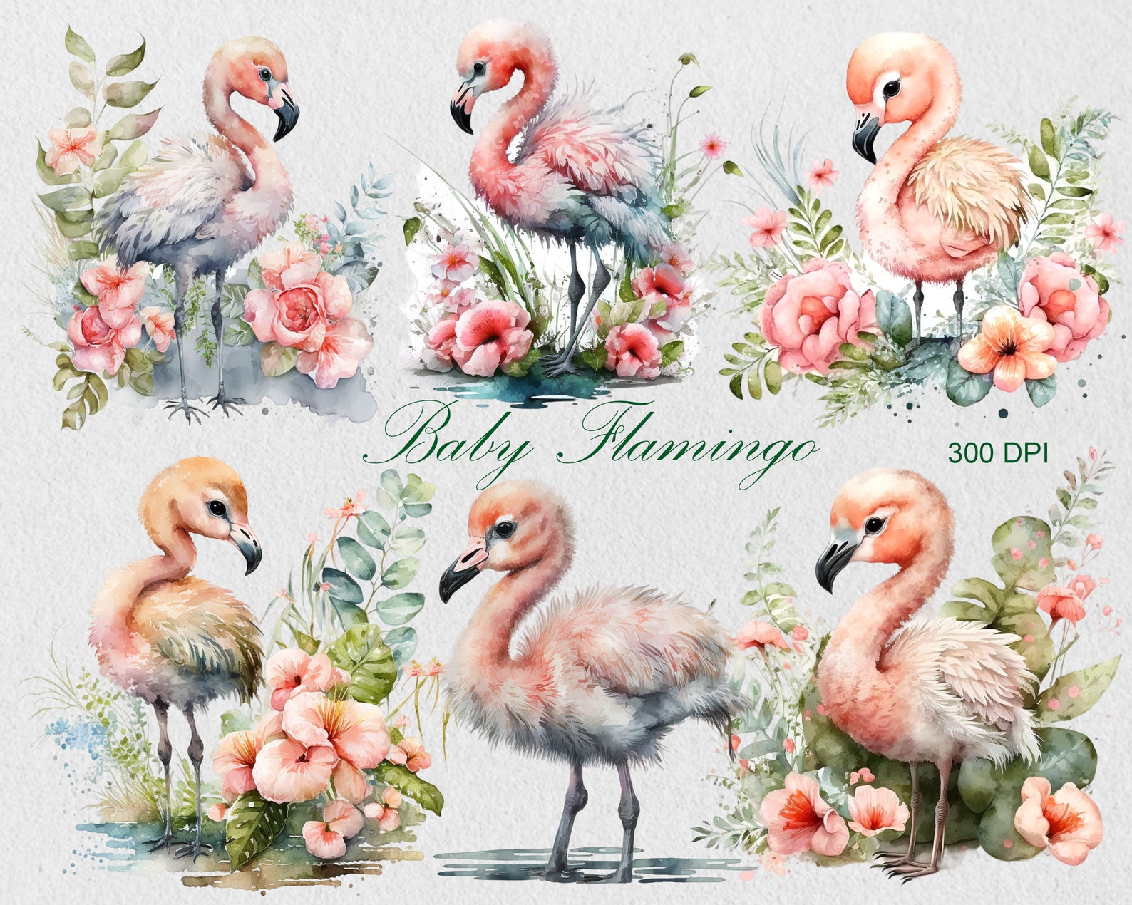 Watercolor Cute Flamingo Clipart, Birds Clipart, Digital Watercolor ...