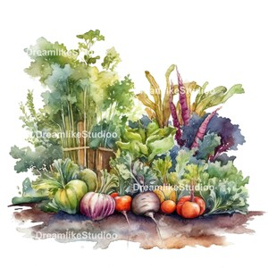 Vegetable Garden Cliparts, Watercolor Gardening Clipart, Commercial Use ...