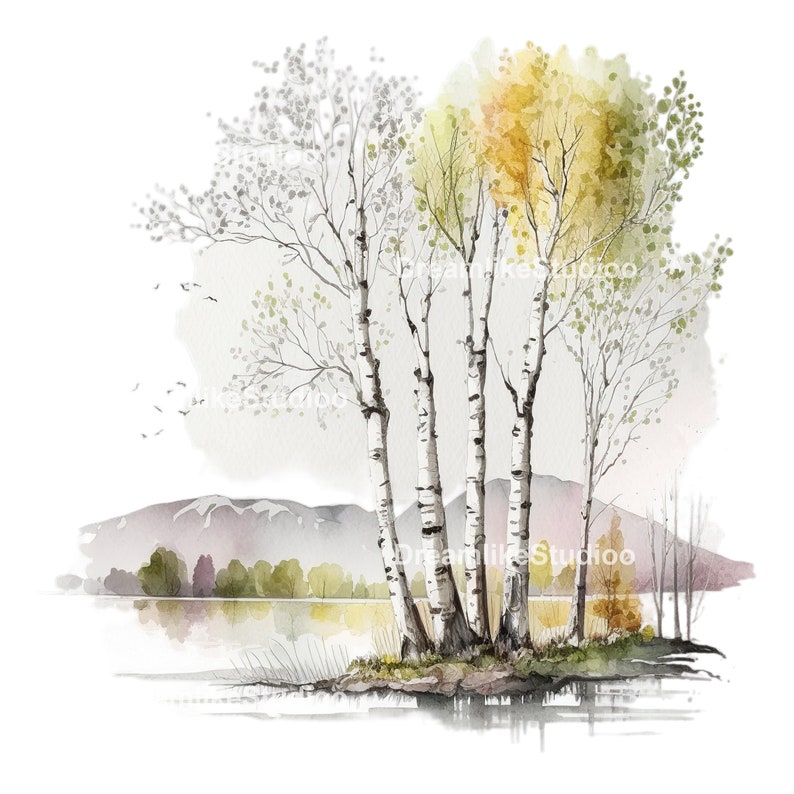 Spring Birch Trees Clipart Birch Grove PNG Commercial Use - Etsy