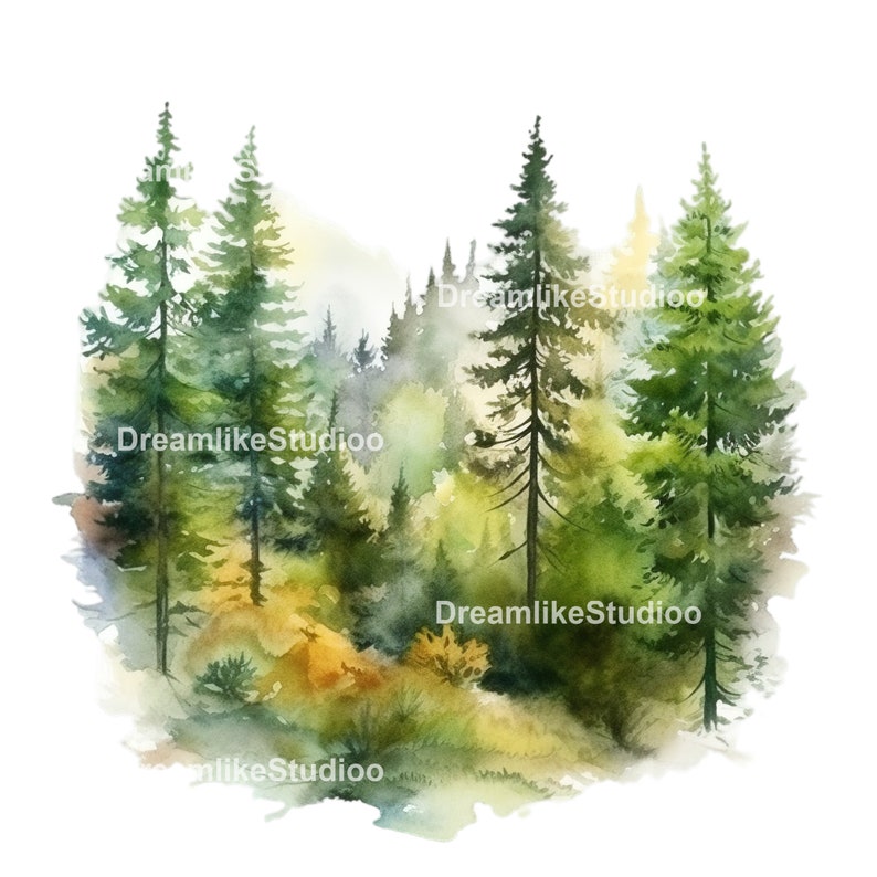 Watercolor Forest Clipart, Commercial Use Foggy Forest PNG, Coniferous ...