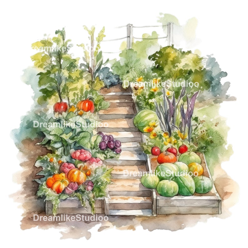 Watercolor Vegetable Garden Clipart, Gardening Clipart, Commercial Use ...