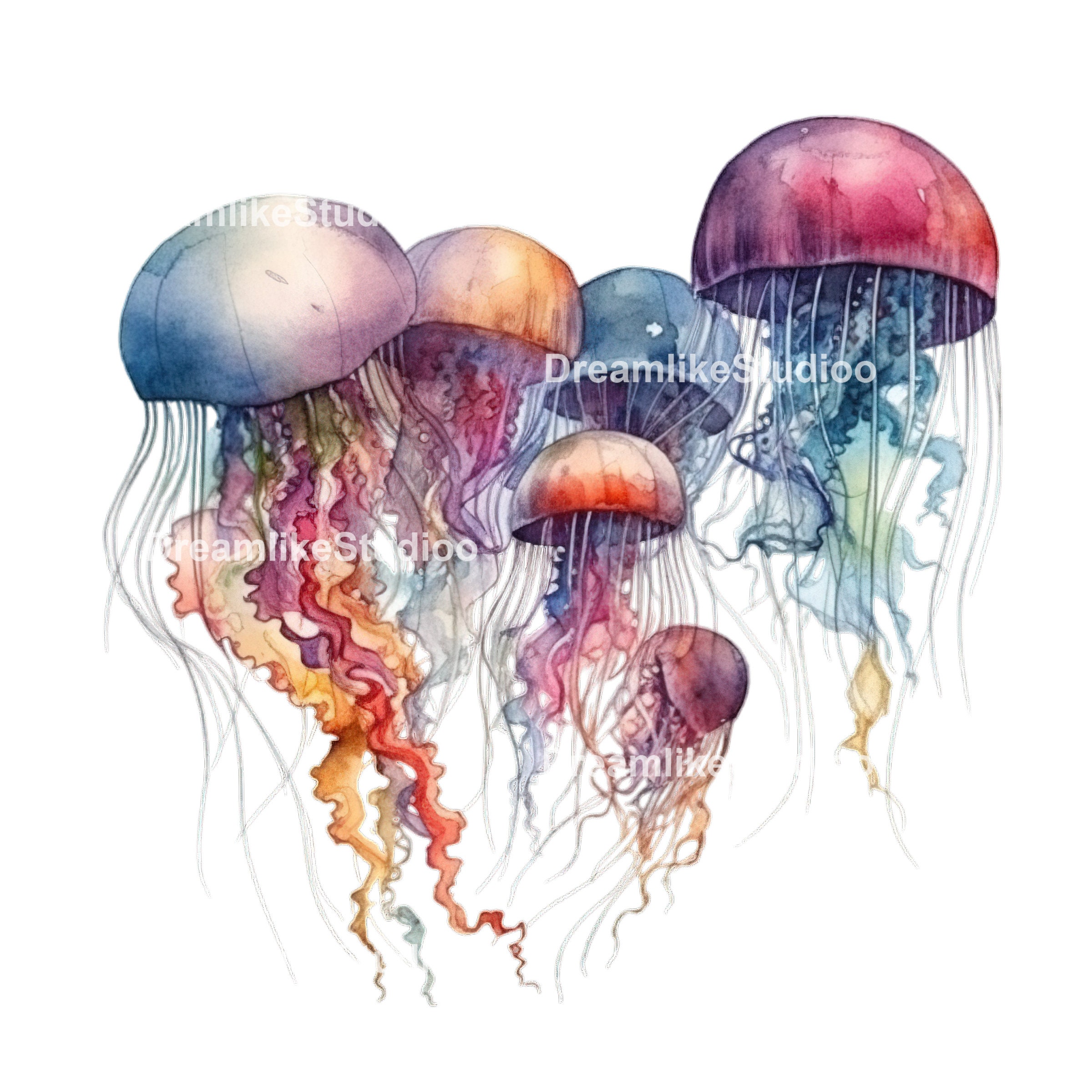 Watercolor Jellyfish Clipart, Commercial Use Clipart, Ocean Life ...