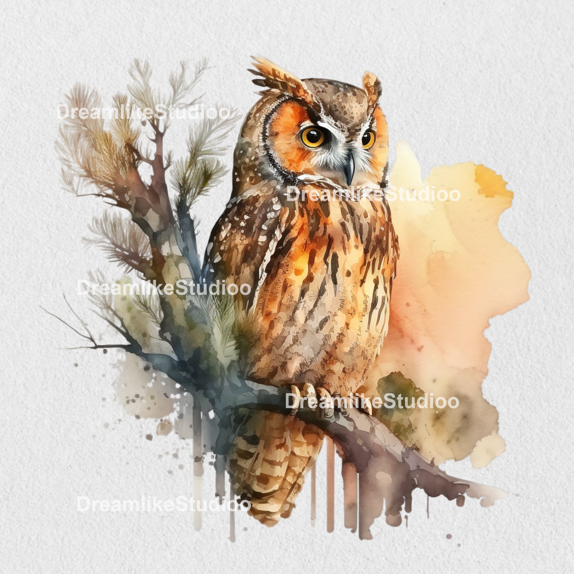 Watercolor Owl Clipart Owl Watercolor Owl Clip Art PNG - Etsy