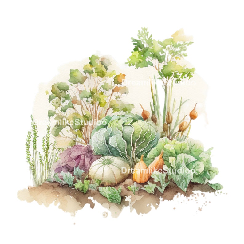 Watercolor Vegetable Garden Cliparts, Commercial Use Clipart, Gardening ...