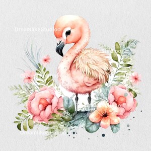Watercolor Cute Flamingo Clipart, Birds Clipart, Digital Watercolor ...