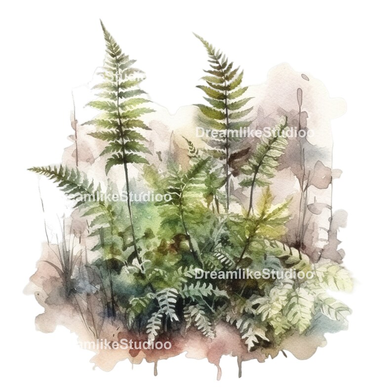 Watercolor Fern Forest Clipart Commercial Use Fern PNG - Etsy
