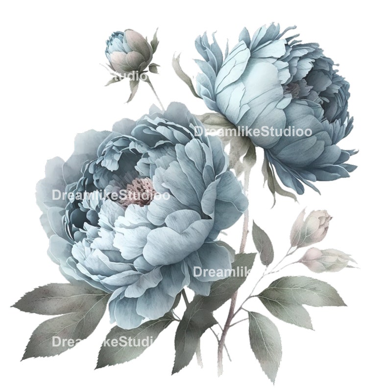 Watercolor Peony Clipart, Commercial Use Clipart, Blue Flower Clipart ...