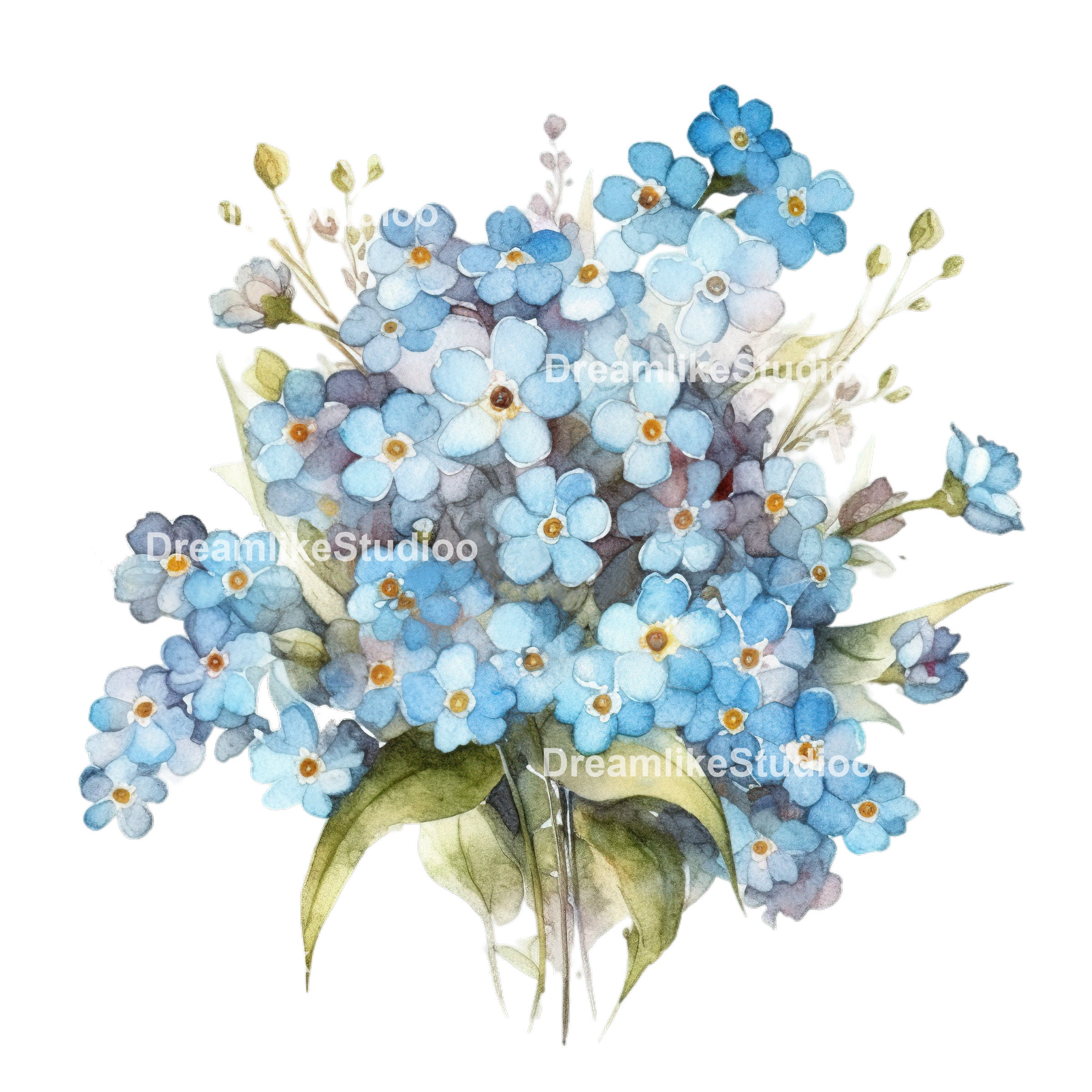 Watercolor Forget-me-not Clipart, Forget-me-not Bouquet PNG, Commercial ...
