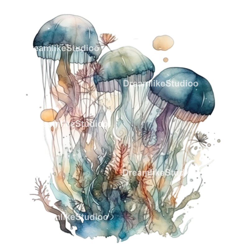 Watercolor Jellyfish Clipart Commercial Use Clipart Ocean - Etsy