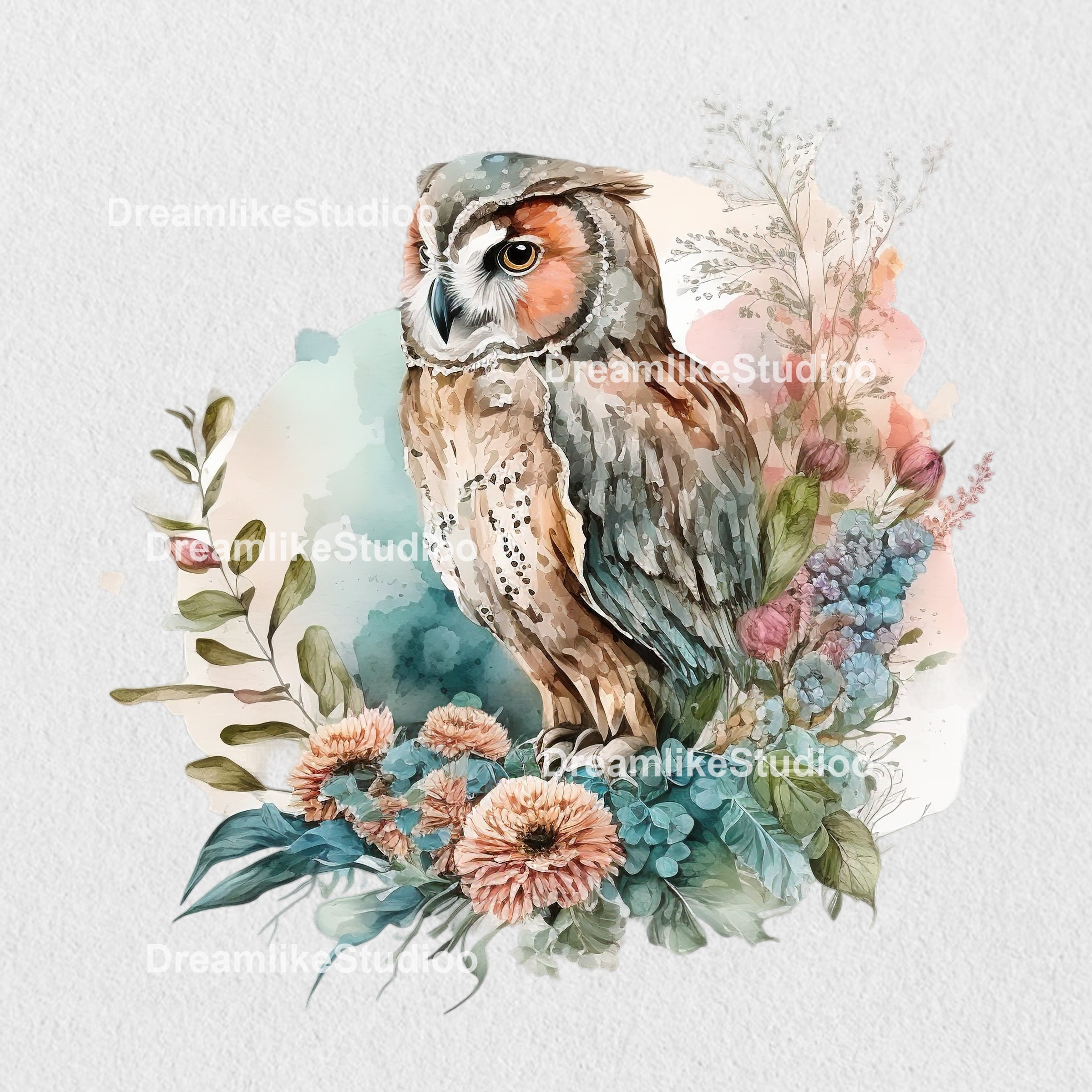 Watercolor Owl Clipart Owl Watercolor Owl Clip Art PNG - Etsy